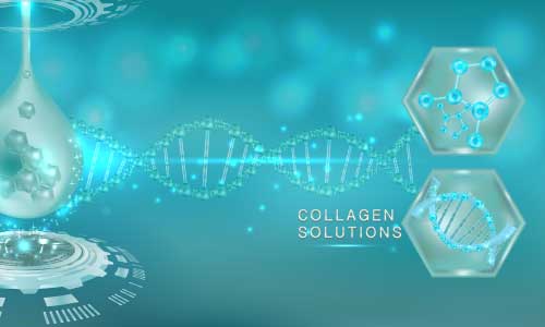 Clinical effects of fish type I collagen hydrolysate on skin properties ...